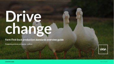 Farm First Duck Standards Guide | LRQA UK