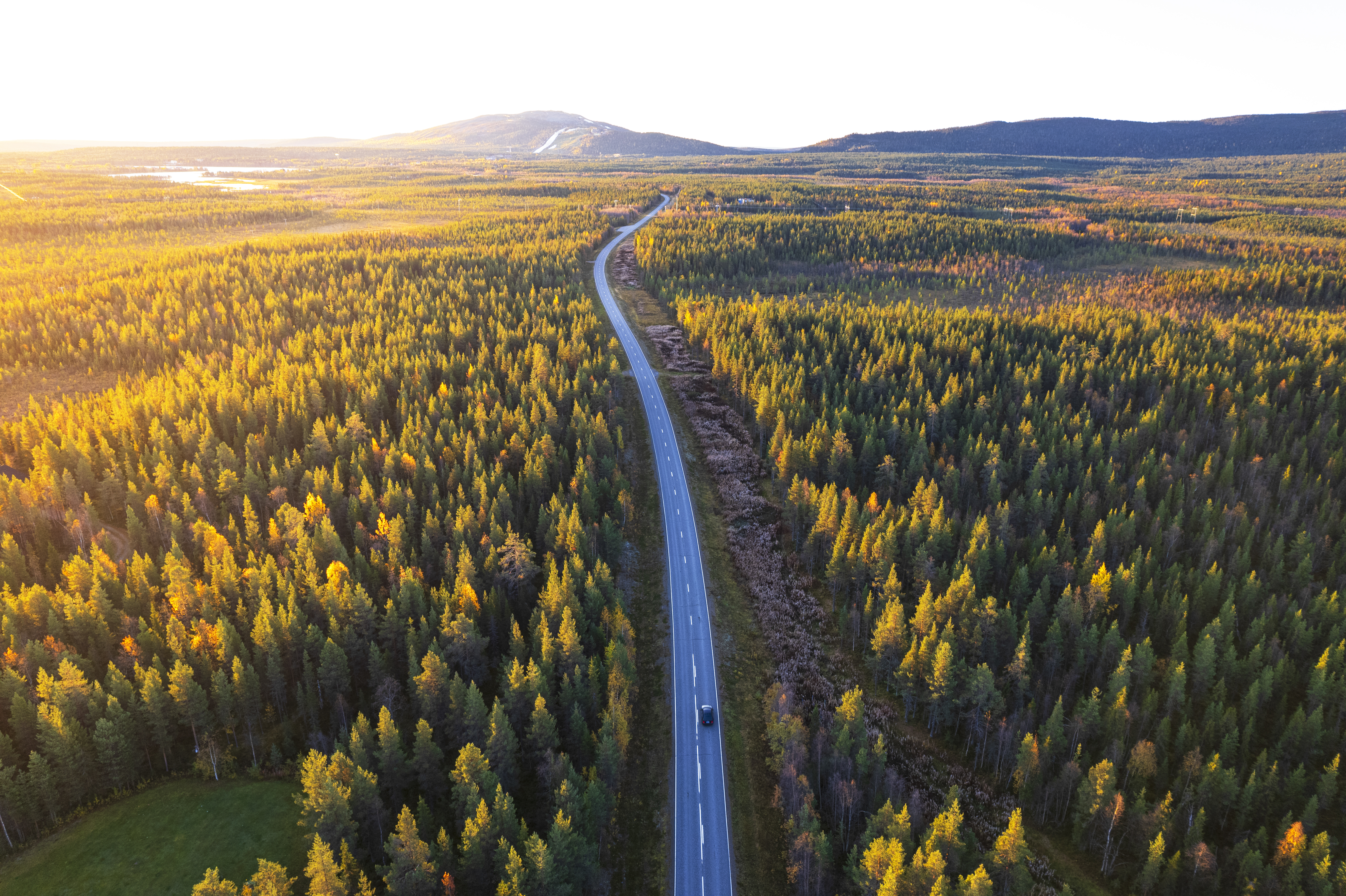 EU-Omnibus-Paket Oktober 2025 – Update: Wichtige Änderungen bei CSDDD und CSRD | LRQA