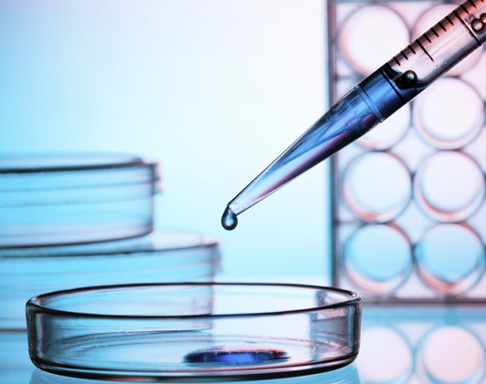 ISO 9001 certification | Vector Laboratories | LRQA