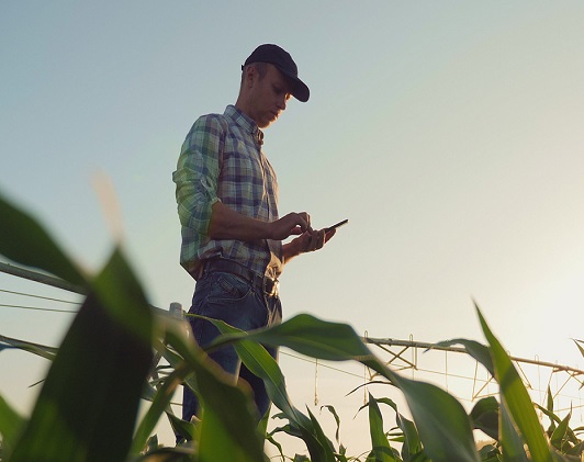LRQA on COP28: Building the farm of the future