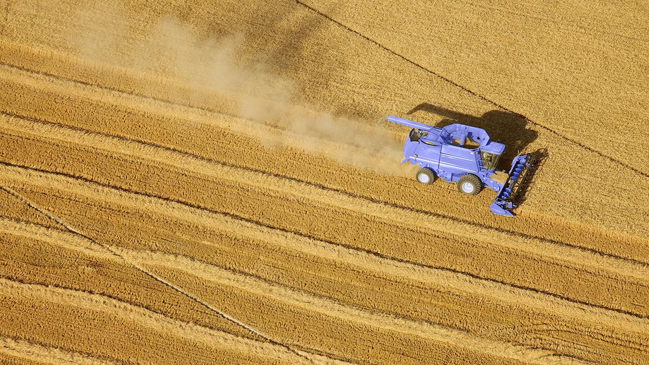 GMP+ Feed Safety Assurance | LRQA