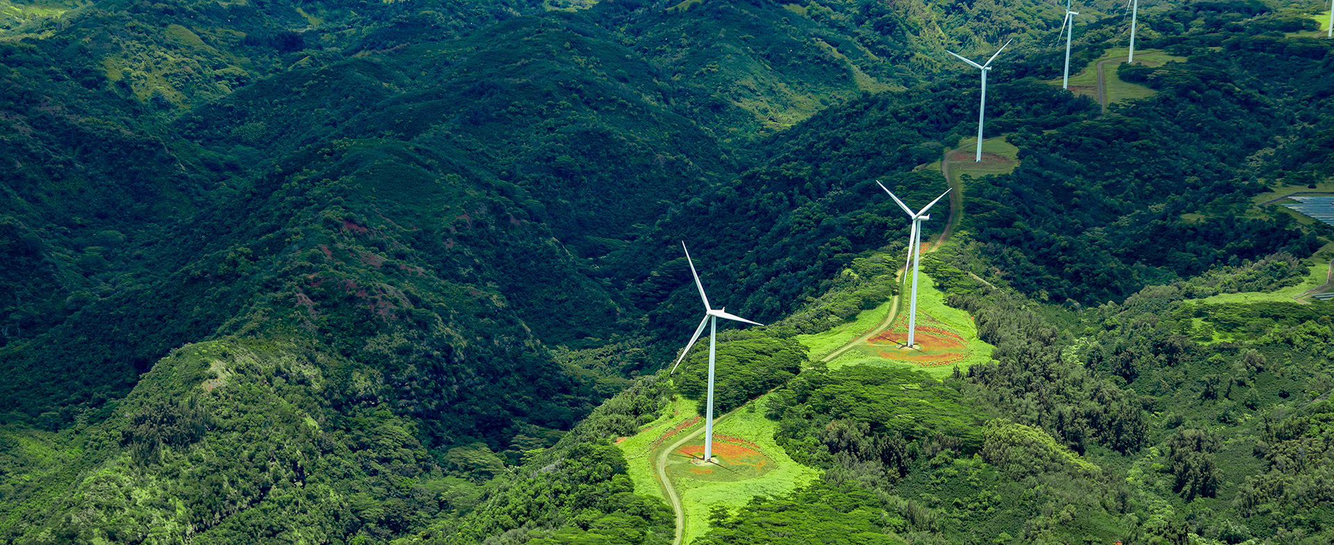 Maximizing Environmental Sustainability for Organizations