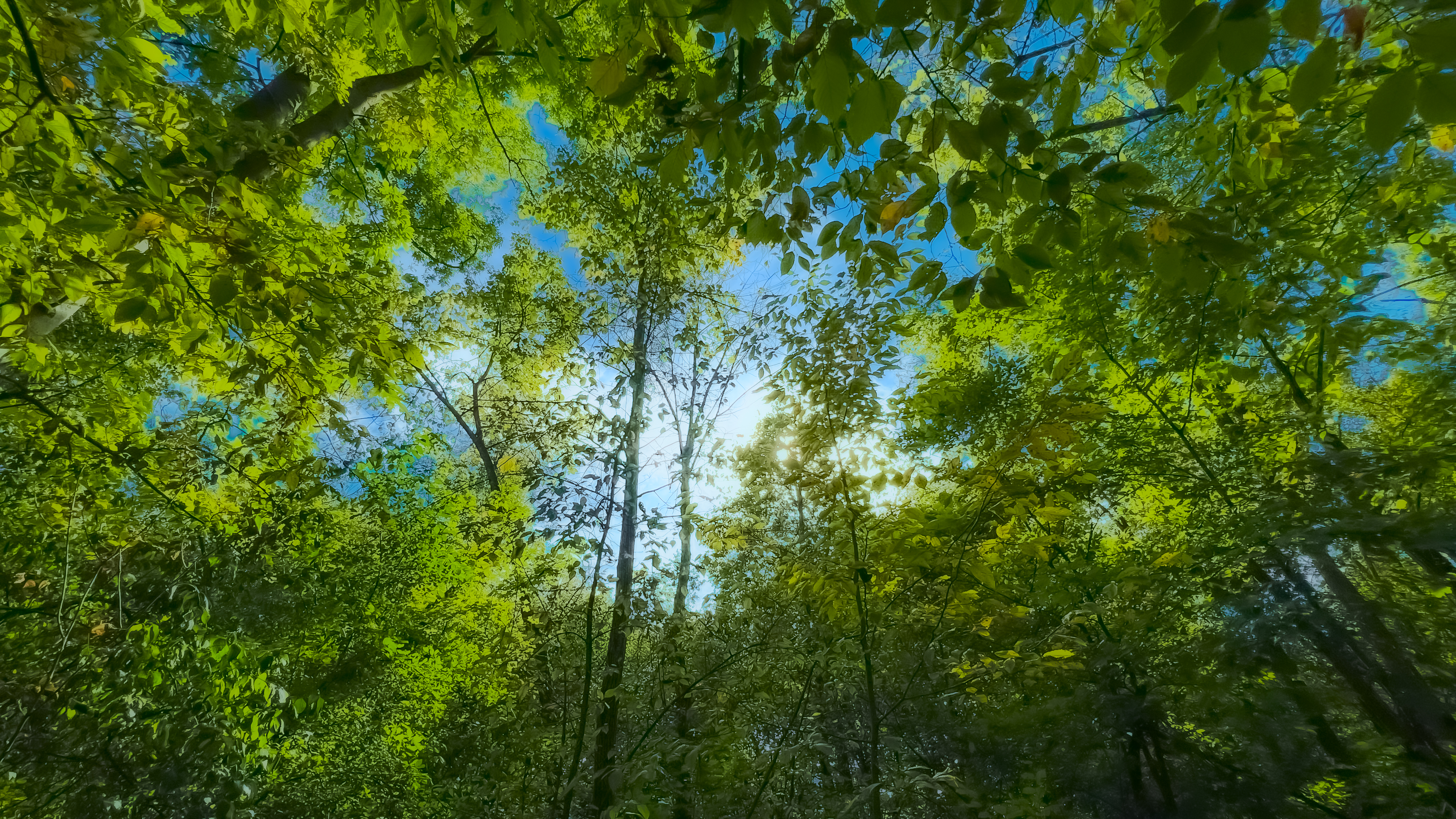 GHG Protocol Guide: Assurance and Strategy | LRQA